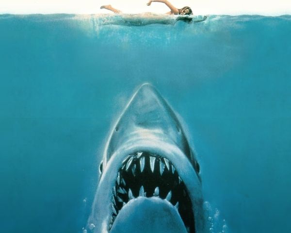 National Geographic celebra el aniversario de Tiburón con un documental ...